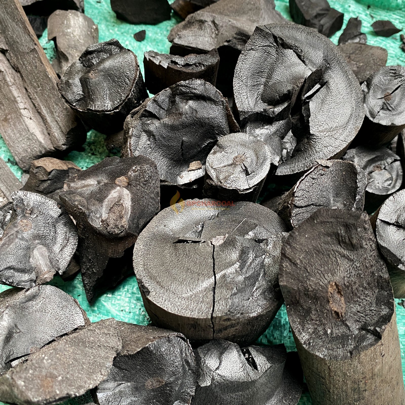 GPCHARCOAL - Hardwood Charcoal & Briquette Factory