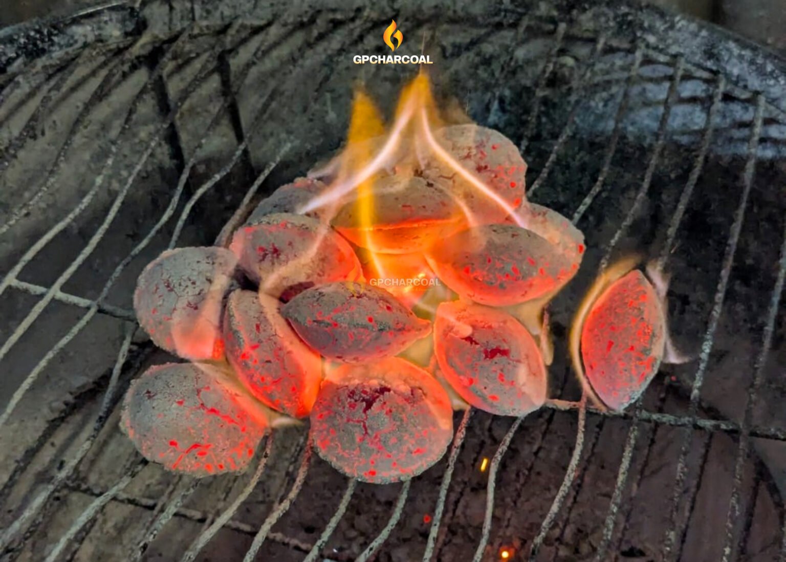 GPCHARCOAL - Charcoal & Coal Supplier