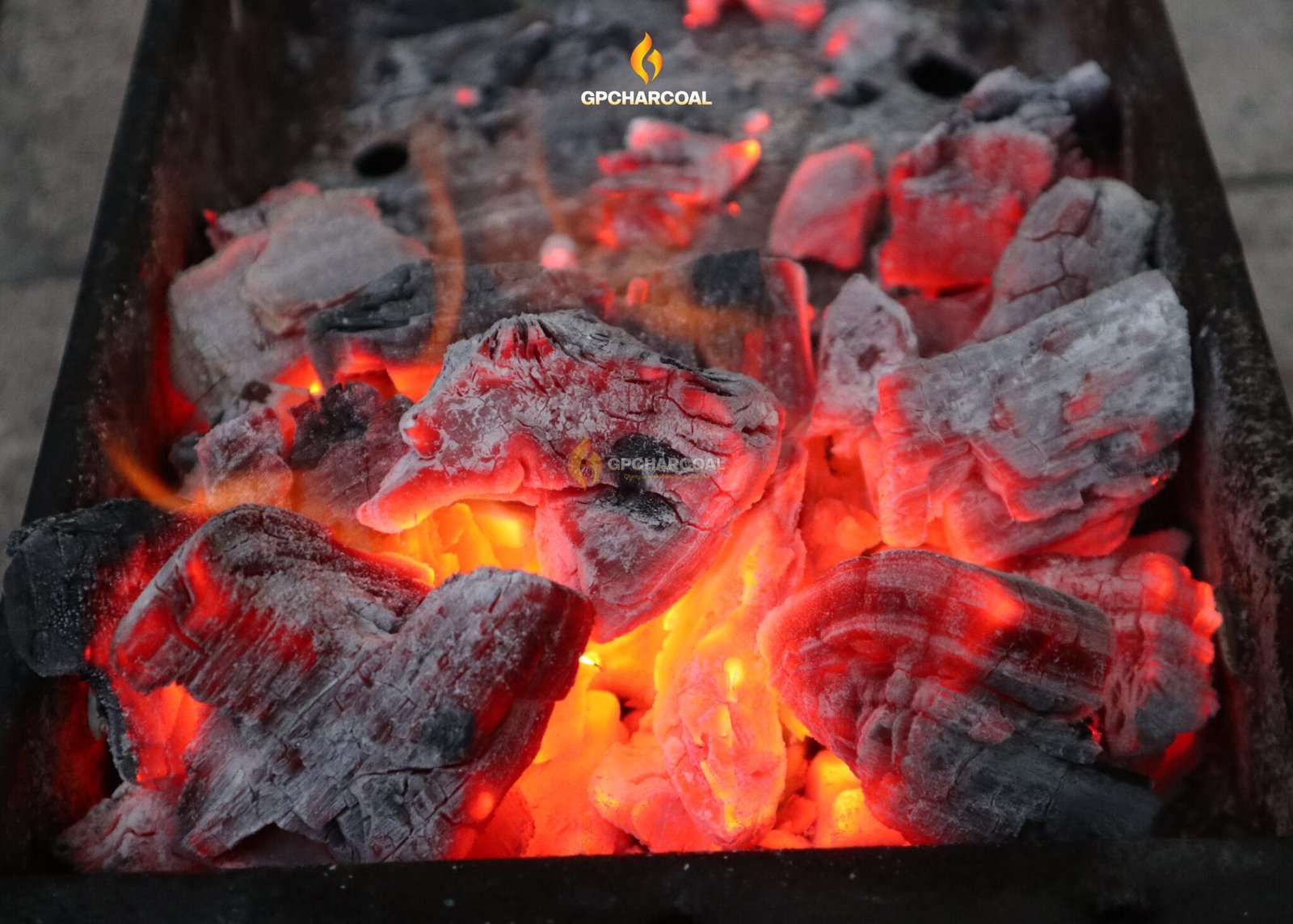 GPCHARCOAL - Hardwood Charcoal & Briquette Factory